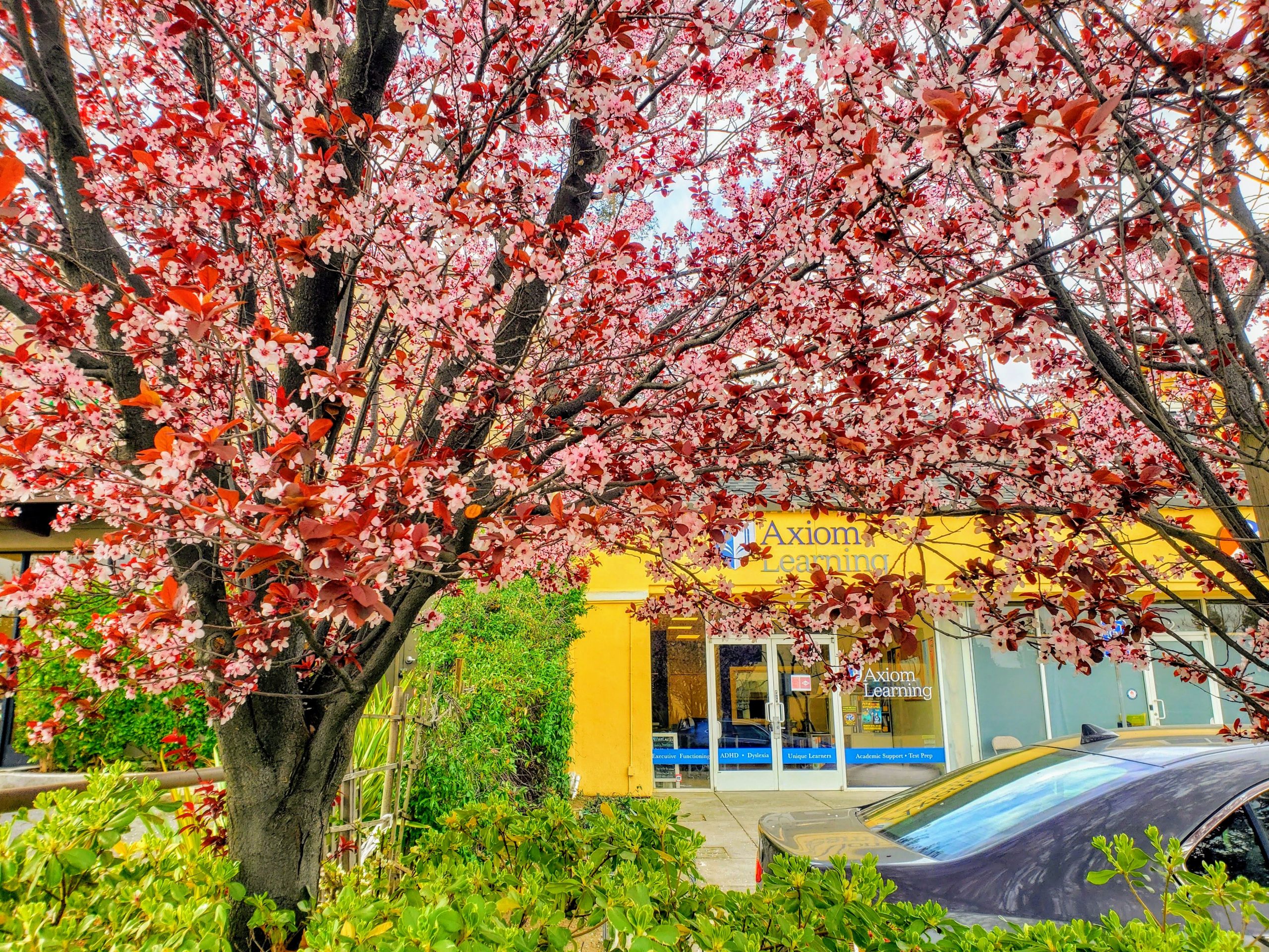 Learning Center in Menlo Park | Tutoring & Test Prep | Axiom Learning